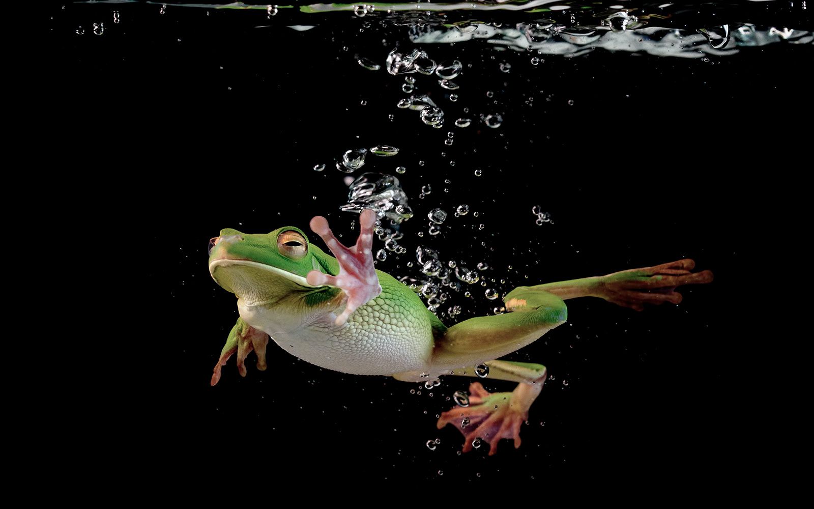 Stress, ansia e pensieri: tecnica della freccia discendente